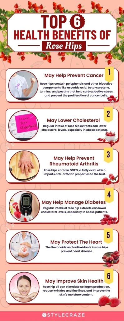 The benefits of rose hips for women's health - KFC Menu